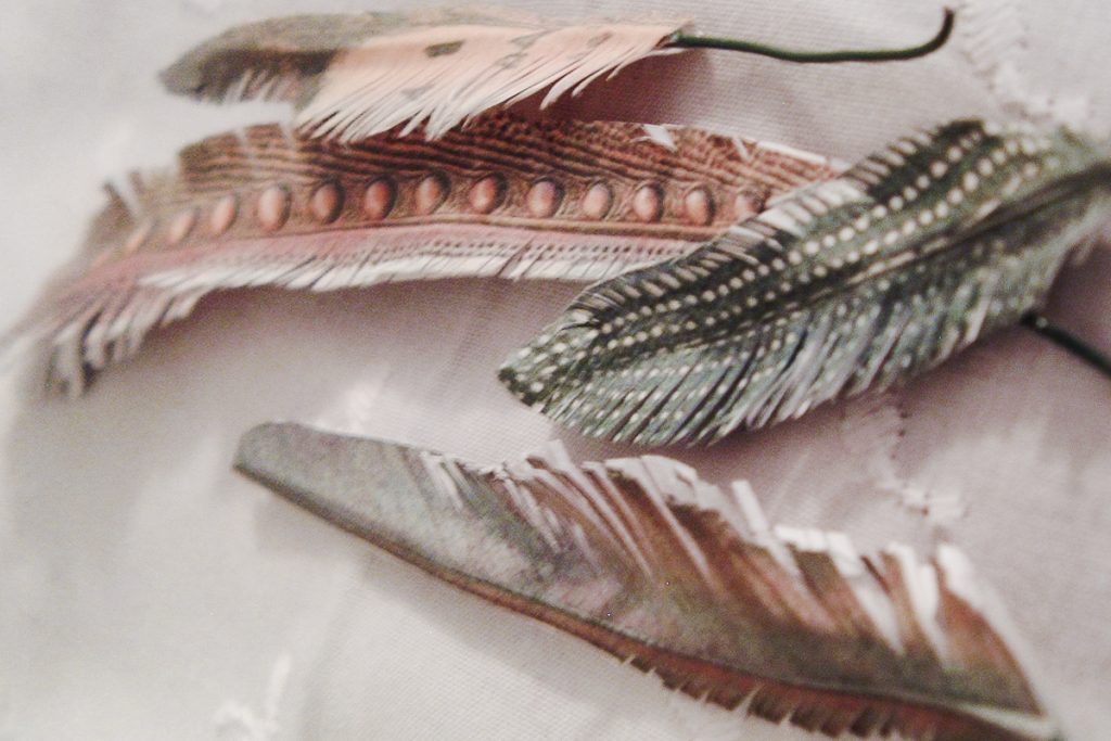 How to Make Paper Feathers in Minutes! - Angie Holden The Country Chic ...