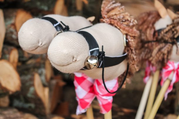 DIY Stick Horse from a Sock Tutorial - Angie Holden The Country Chic ...