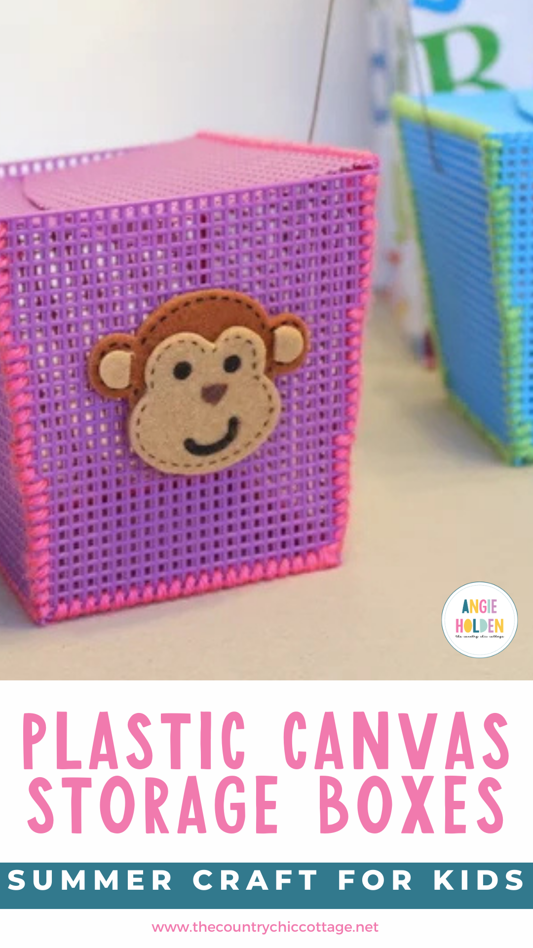Plastic Canvas Storage Boxes - Angie Holden The Country Chic Cottage