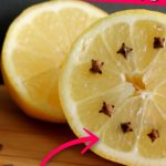 Natural Fly Repellent - ideas for your home! - The Country Chic Cottage