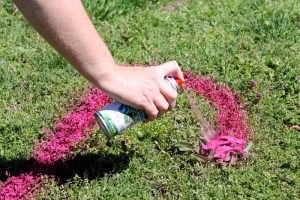 Creative Prom Proposal Ideas: Spray Chalk - Angie Holden The Country ...