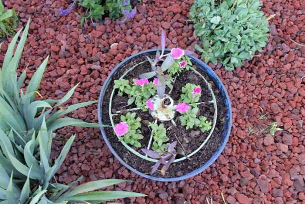 Mulch Alternatives: Adding Curb Appeal to Your Home - Angie Holden The ...