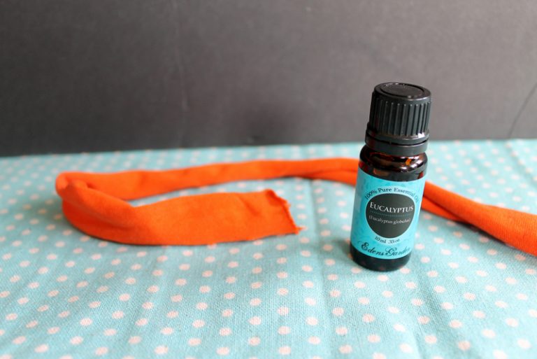 4 Ways to Make Natural Fly Repellent | The Country Chic Cottage