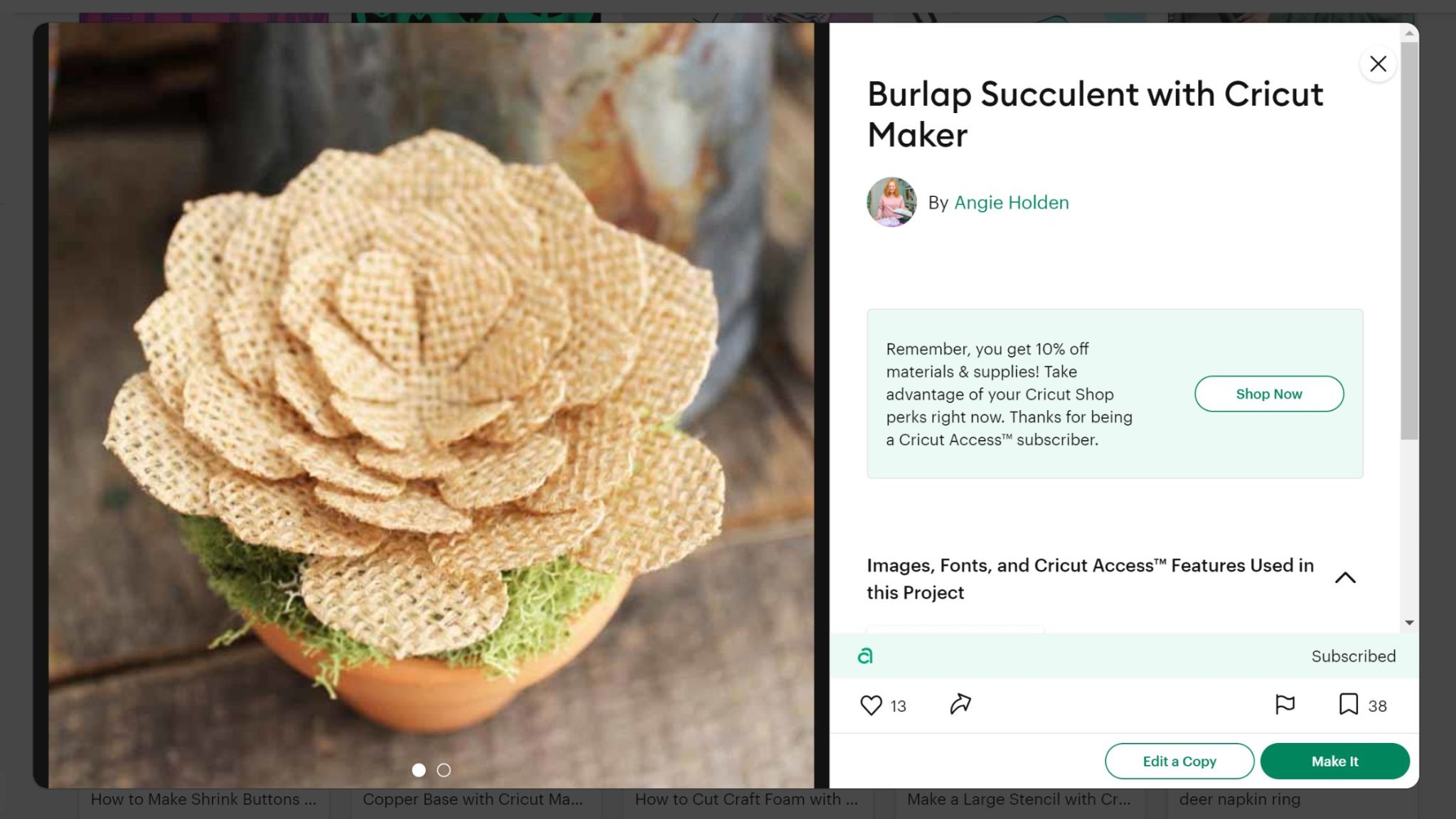 Cactus Succulent Decor: How to Make Burlap Fabric Flowers