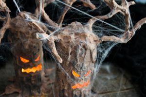 Spooky DIY Halloween Tree Craft | The Country Chic Cottage