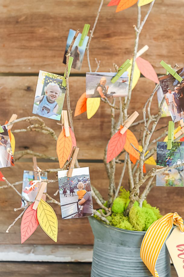 Thanksgiving Tree Ideas with Photos - Angie Holden The Country Chic Cottage