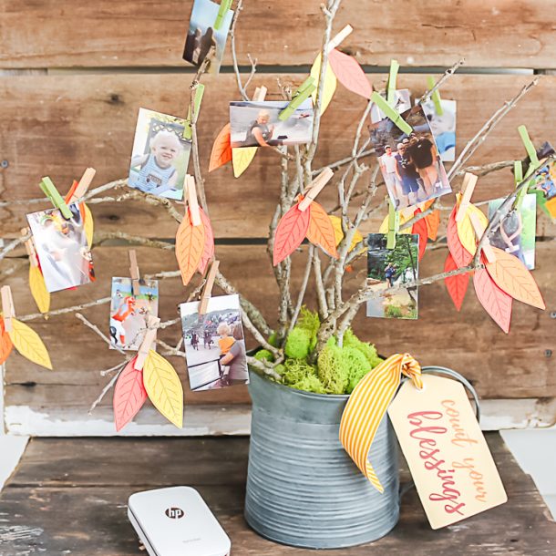 Thanksgiving Tree Ideas with Photos - Angie Holden The Country Chic Cottage