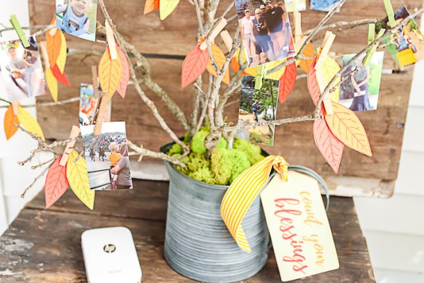 Thanksgiving Tree Ideas with Photos - Angie Holden The Country Chic Cottage