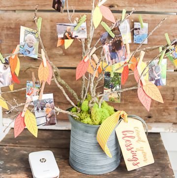 Thanksgiving Tree Ideas with Photos - Angie Holden The Country Chic Cottage
