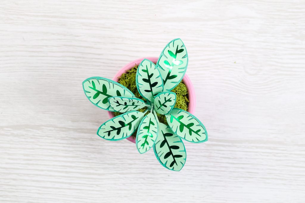 How to Make Paper Plants with a Cricut for a Garden Party - The Country ...