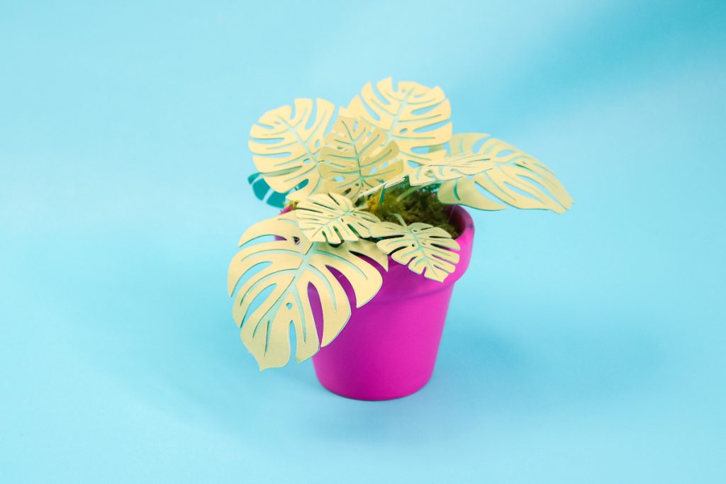 How to Make Paper Plants with a Cricut for a Garden Party - The Country ...
