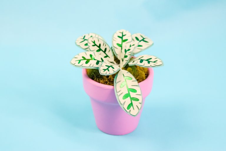 How to Make Paper Plants with a Cricut for a Garden Party - The Country ...