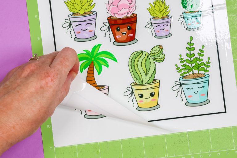 Sublimation Stickers: Your Complete DIY Guide - Angie Holden The ...