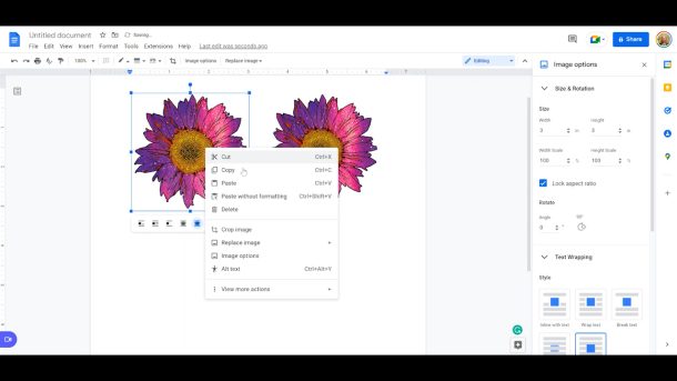 free sublimation software