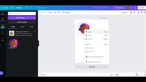 free sublimation software