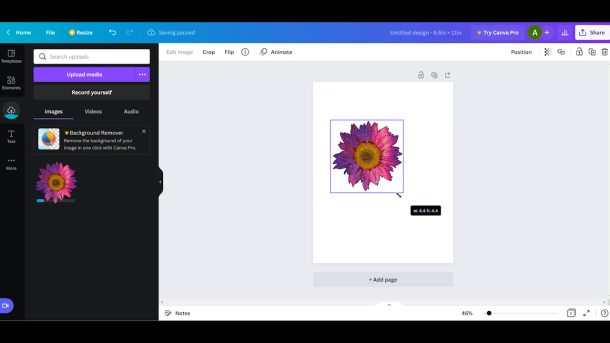 free sublimation software