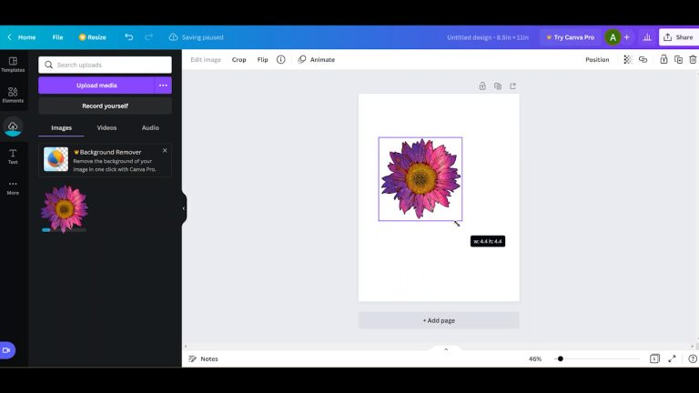 free sublimation software
