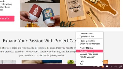 How to Use the Sawgrass Print Manager - Angie Holden The Country Chic ...