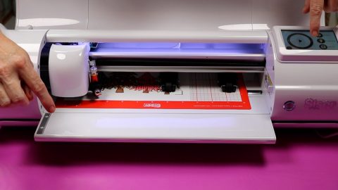 Siser Juliet: Everything You Need to Know - Angie Holden The Country ...