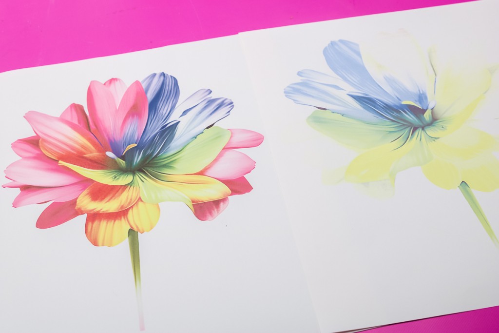 How to Fix a Clog in an Epson EcoTank Printer - Angie Holden The ...