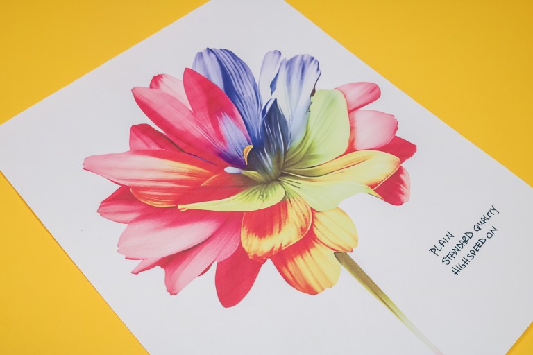 How to Fix Lines in Sublimation Prints - Angie Holden The Country Chic ... How to Fix Lines in Sublimation Prints - Angie Holden The Country Chic ...