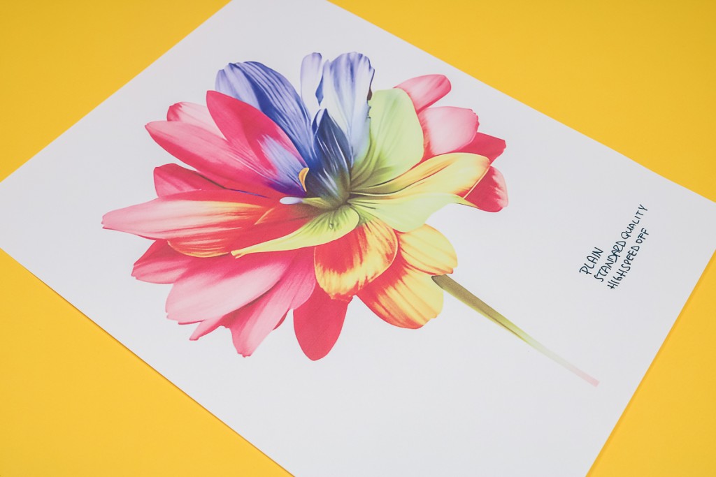 How to Fix Lines in Sublimation Prints - Angie Holden The Country Chic ...