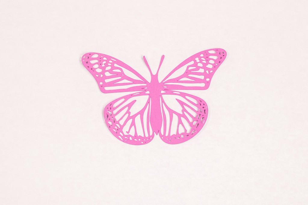 How to Cut Intricate Cuts on Cardstock with a Cricut - Angie Holden The ...