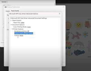 DIY Outdoor Stickers with Waterproof Sticker Paper - Angie Holden The ...
