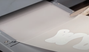 Your DTF Printing Beginner's Guide - Angie Holden The Country Chic Cottage