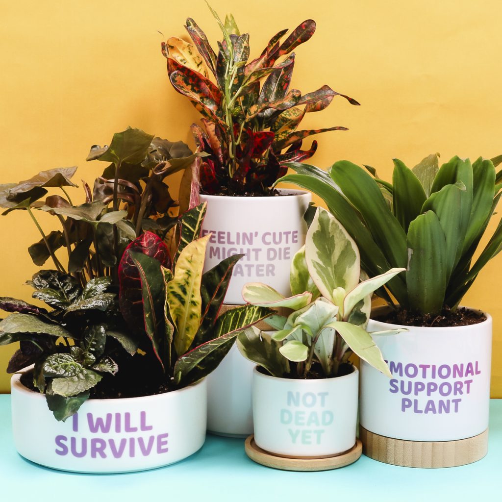 How to Make Sublimation Planters - Angie Holden The Country Chic Cottage