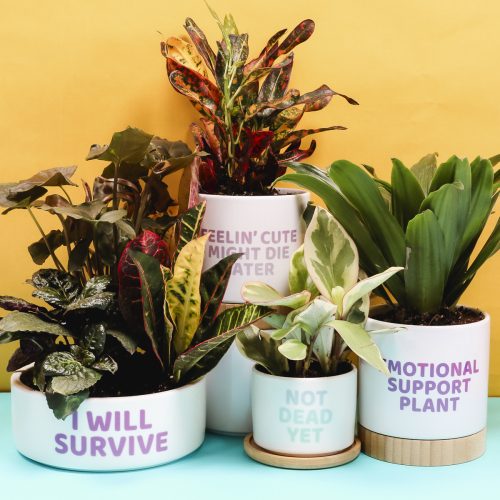 How to Make Sublimation Planters - Angie Holden The Country Chic Cottage