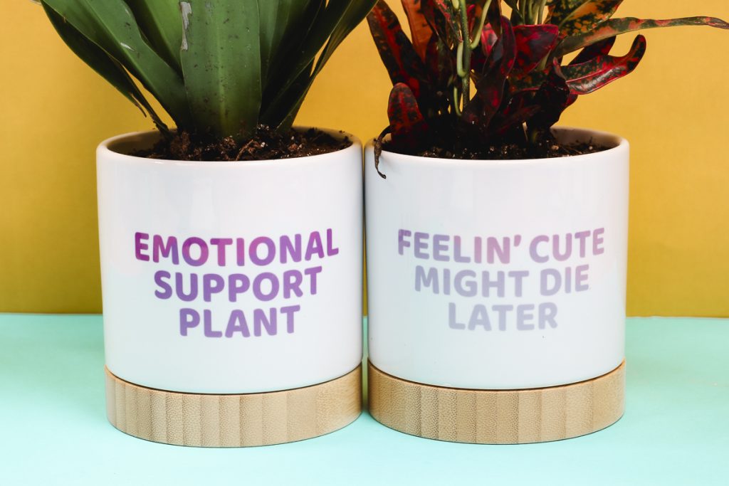 How to Make Sublimation Planters - Angie Holden The Country Chic Cottage