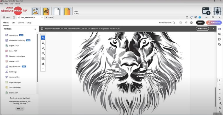 Printing White; Everything You Need to Know - Angie Holden The Country ...