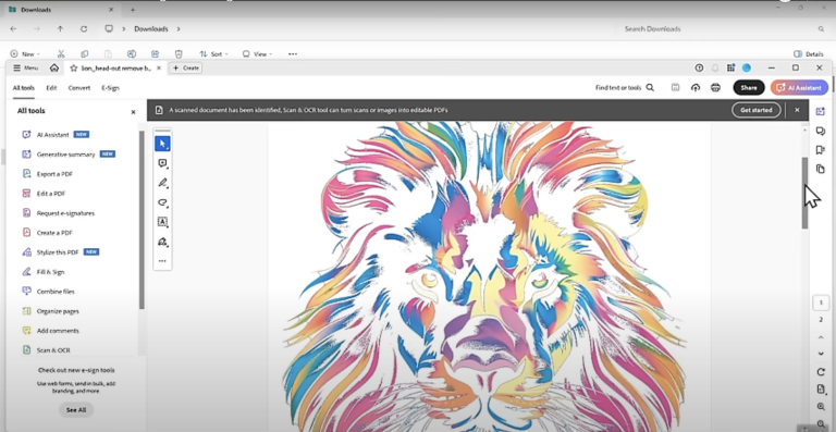 Printing White; Everything You Need to Know - Angie Holden The Country ...