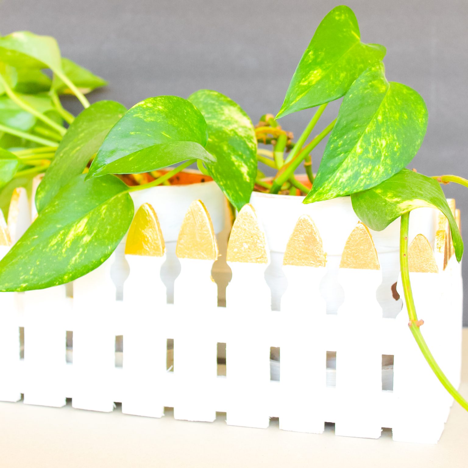 Gold Leaf Planter Box - Angie Holden The Country Chic Cottage