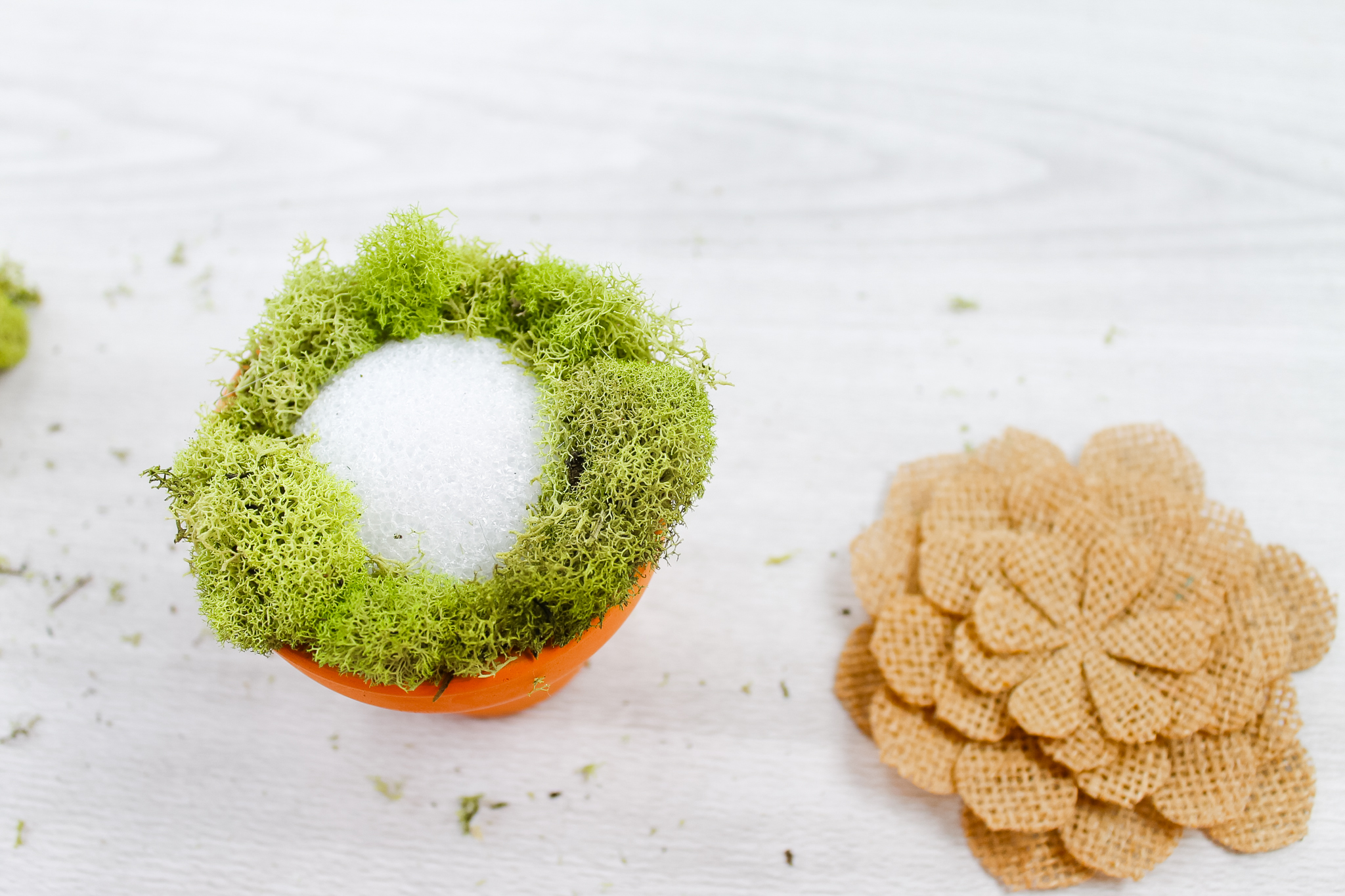 Cactus Succulent Decor: How to Make Burlap Fabric Flowers